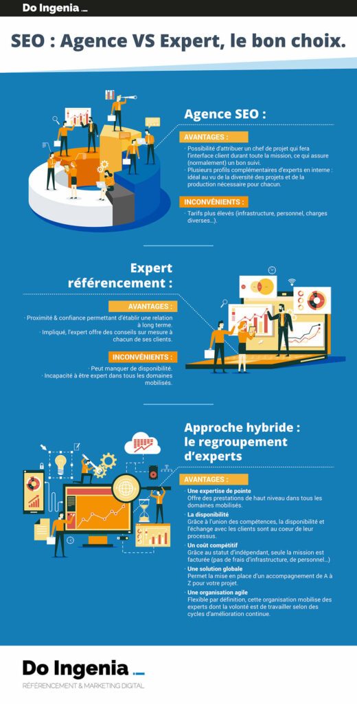 Infographie : Agence SEO vs un expert référencement